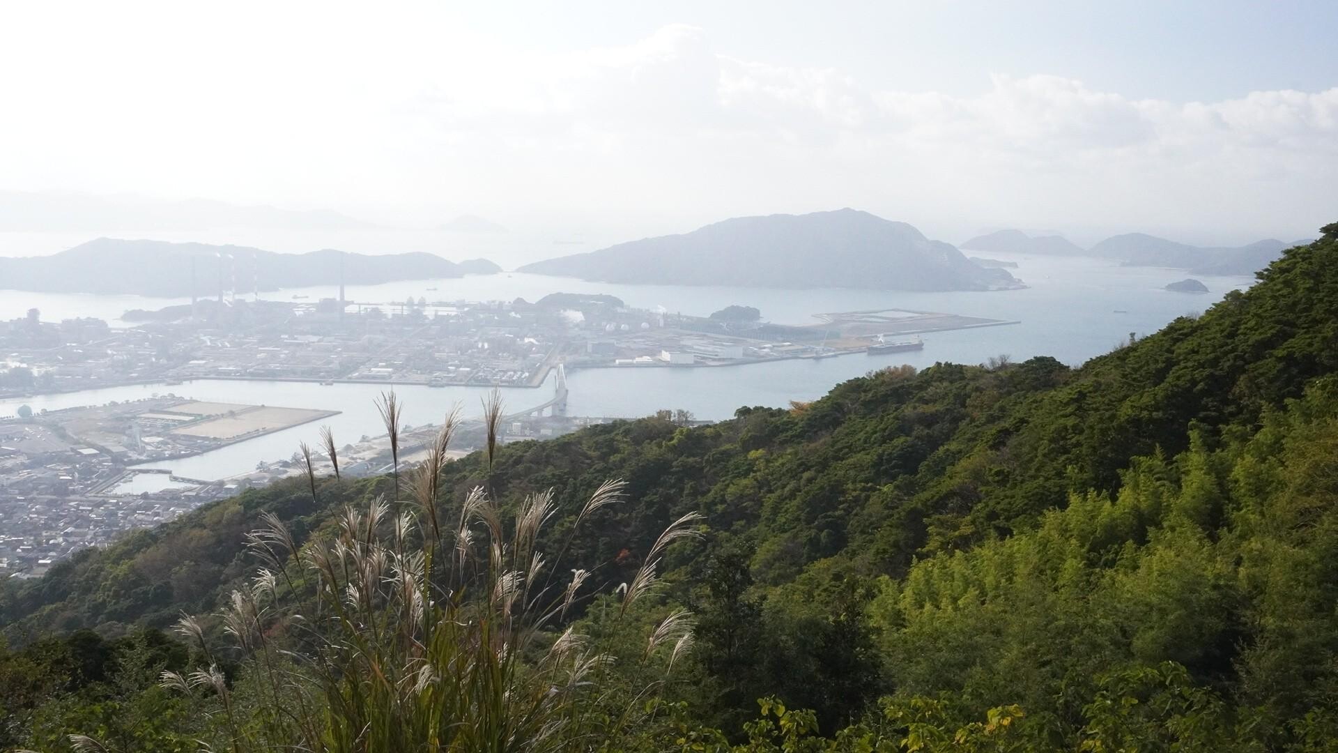 嶽山 朝の山歩 R5−55 / Zatoさんの嶽山・若山・四熊ヶ岳の活動データ | YAMAP / ヤマップ