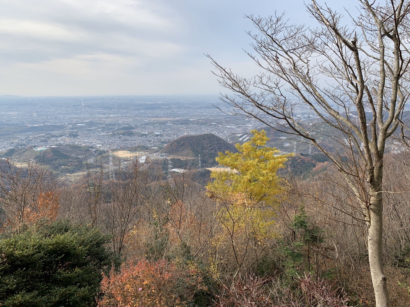 20回めの二上山 / nonpui(ノンプイ)さんの金剛山・二上山・大和葛城山の活動データ | YAMAP / ヤマップ