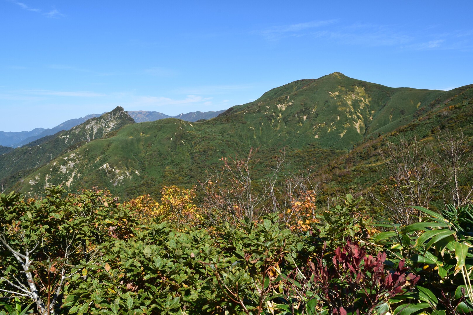 大源太山・七ッ小屋山周回 / nyさんの谷川岳・七ツ小屋山・大源太山の活動データ | YAMAP / ヤマップ