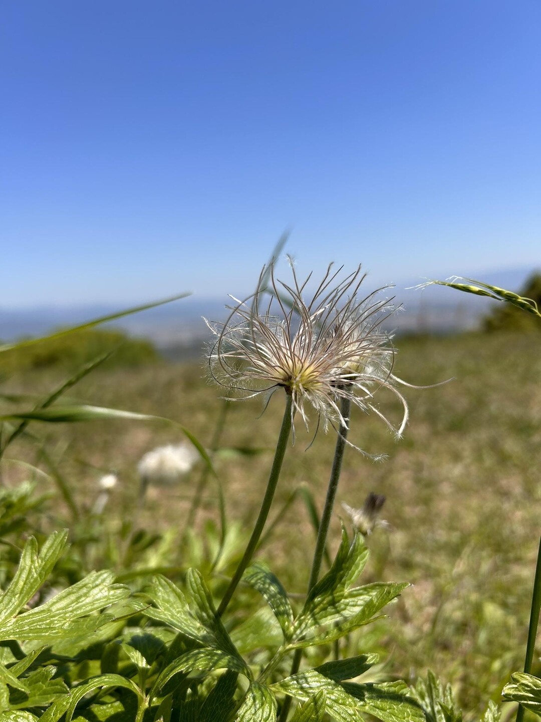 癒しの基山 / t@ke-bowさんの天拝山・基山の活動データ | YAMAP / ヤマップ
