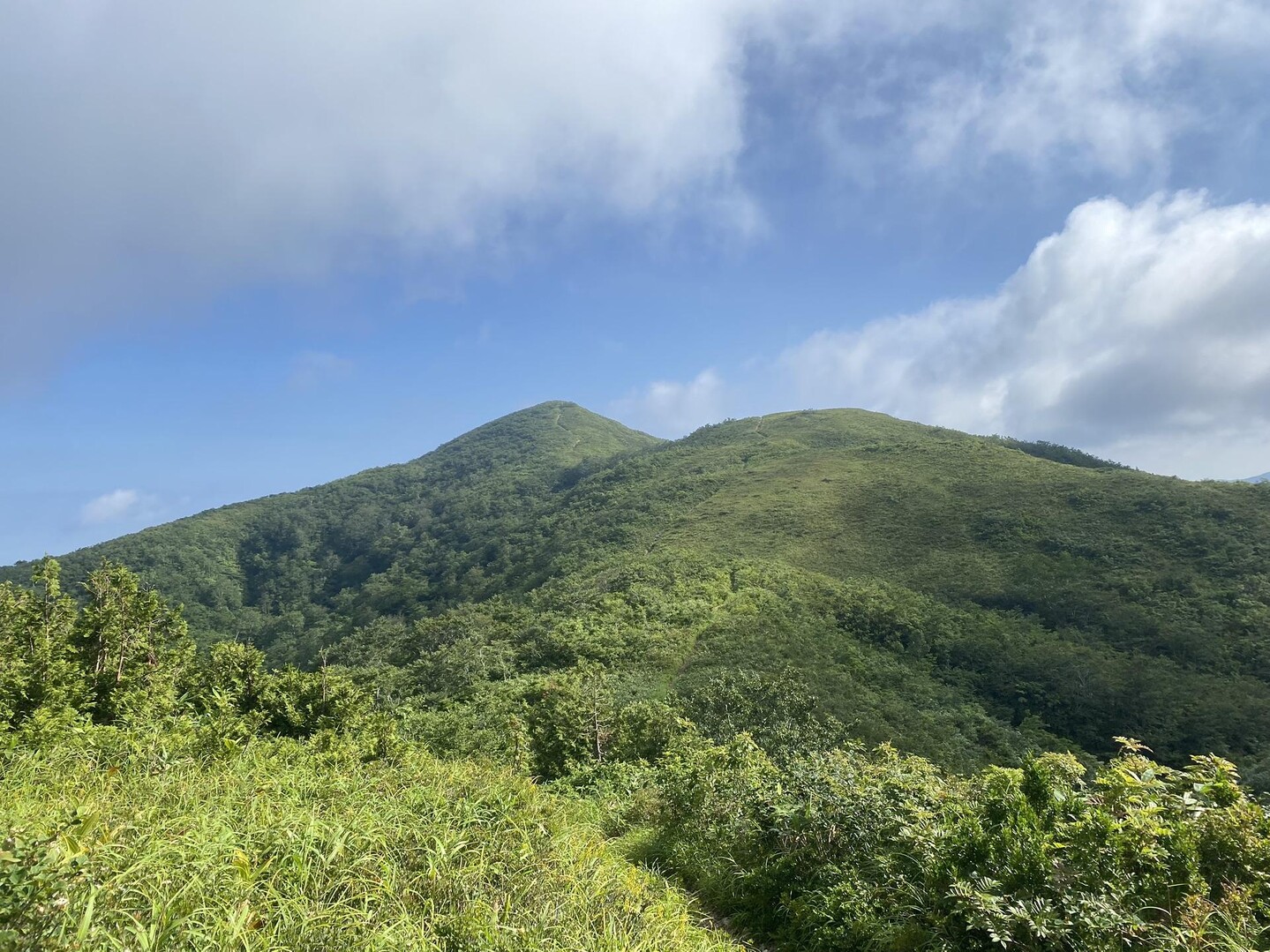 片折岳・金剛堂山（前金剛）・中金剛堂山・奥金剛堂山 / yakataさんの金剛堂山の活動データ | YAMAP / ヤマップ