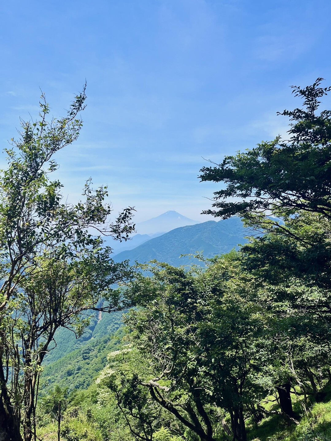 大山 / tomongerさんの大山の活動データ | YAMAP / ヤマップ
