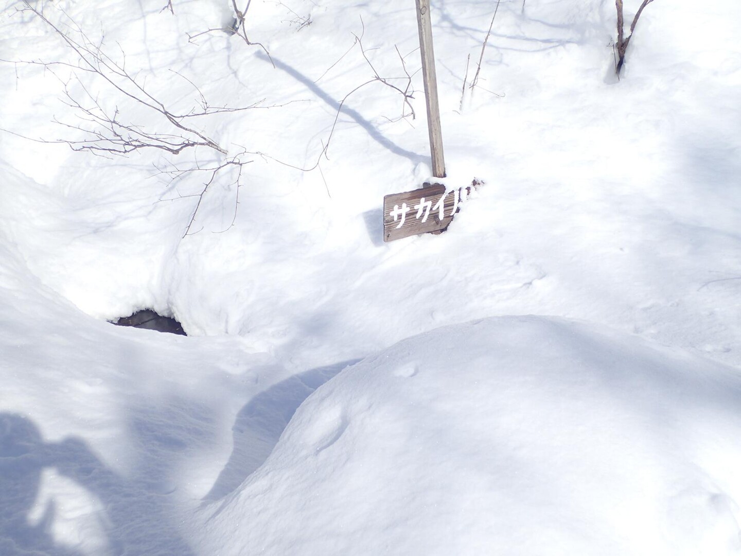 泉ヶ岳 滑降コース。 / niceageさんの七ツ森の活動データ | YAMAP / ヤマップ