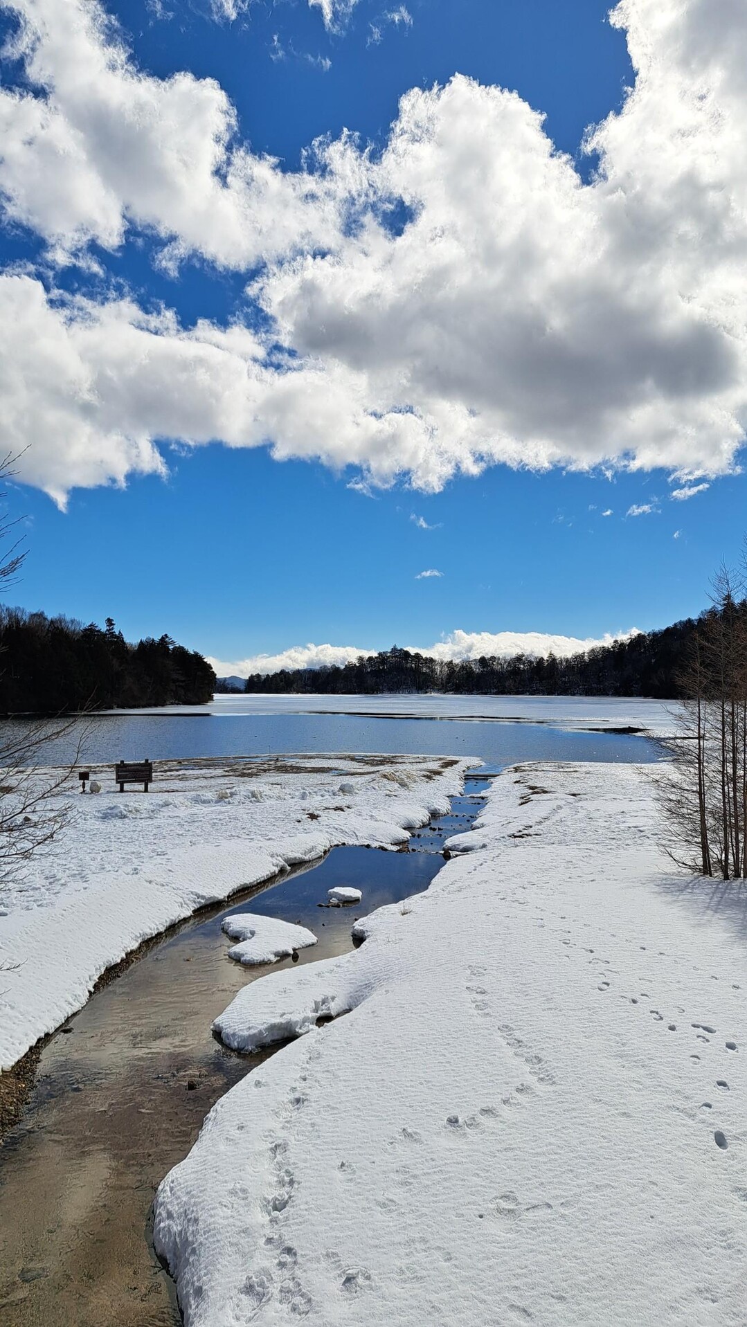 ♨️奥日光湯元へスノートレッキング⛄ 山... / str_0307さんのモーメント | YAMAP / ヤマップ