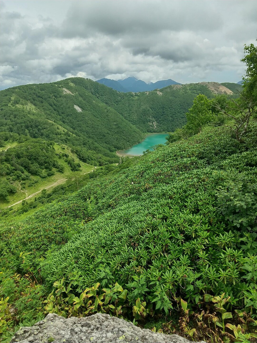 日光白根山・座禅山 / jujuさんの日光白根山・五色山・錫ヶ岳の活動データ | YAMAP / ヤマップ