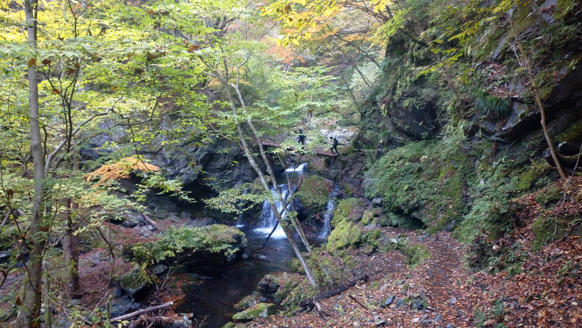 shinpeiさんの投稿したフィールドメモ | YAMAP / ヤマップ