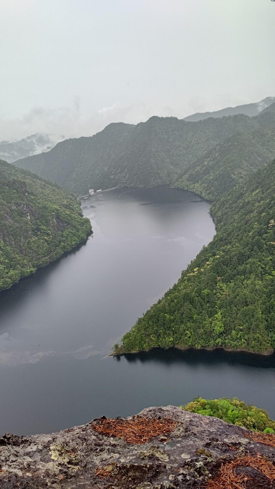 ☔の上臈岩 / guriko5さんの宇連山・鳳来寺山・岩古谷山の活動データ | YAMAP / ヤマップ