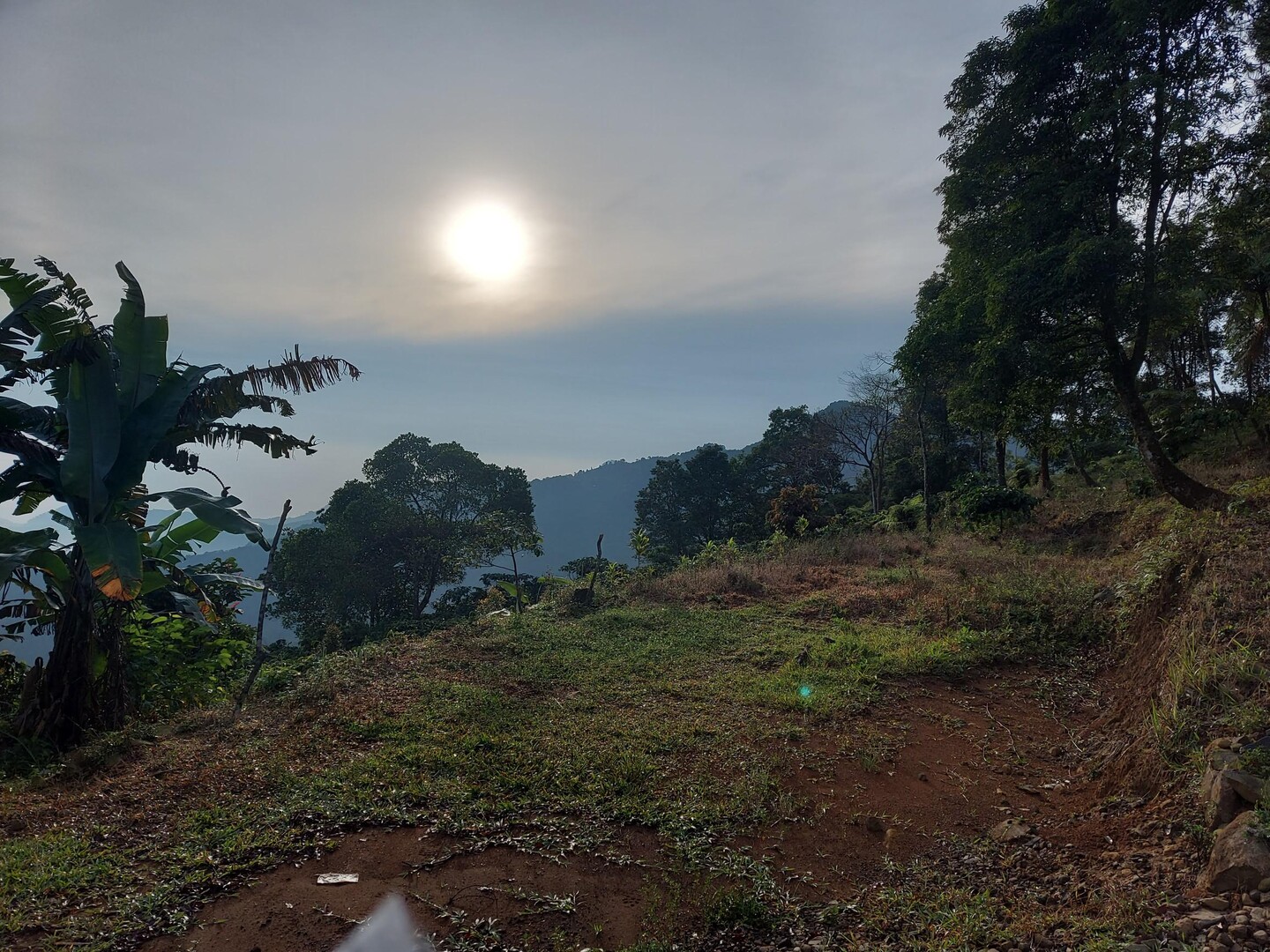 チサドン経由 西→北1 oneway-2024-06-01 / OMUさんのグデ山の活動データ | YAMAP / ヤマップ