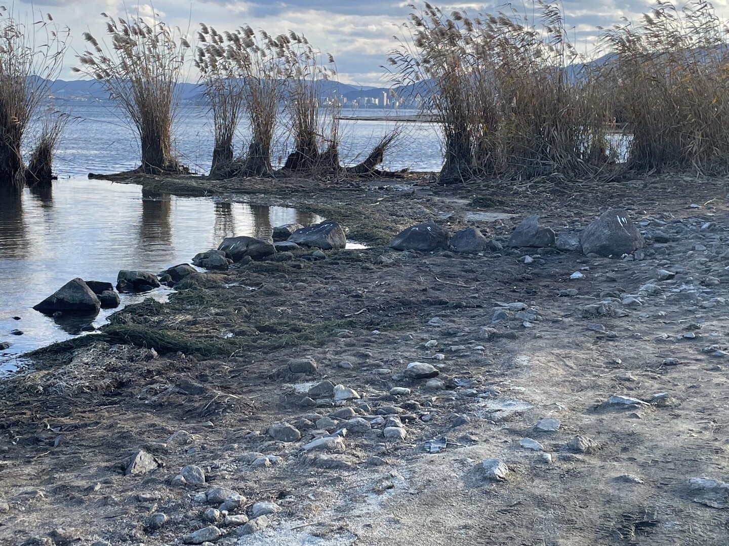 【坂本城址】 明智光秀が構えた坂本城の石... / t24riverさんのモーメント | YAMAP / ヤマップ