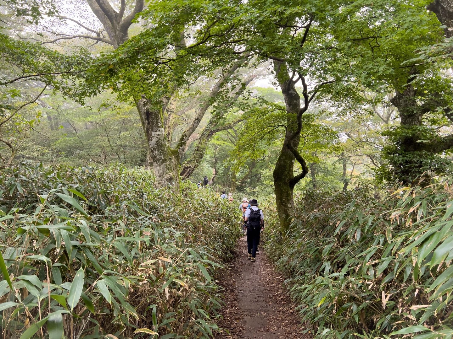 筑波山（女体山） / iwanagaさんの筑波山の活動データ | YAMAP / ヤマップ