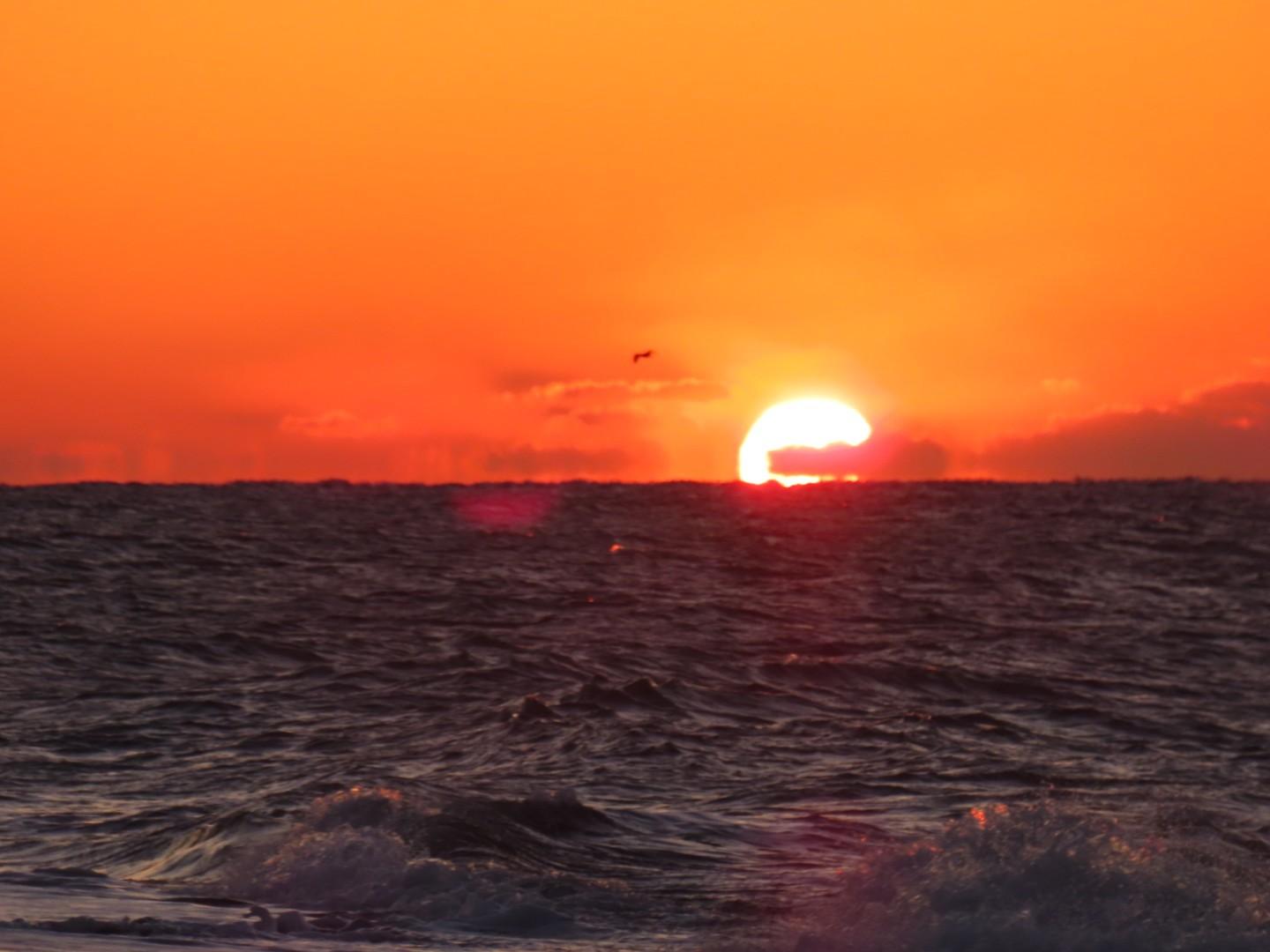 あけましておめでとうございますm(_ _... / のぶしさんのモーメント | YAMAP / ヤマップ