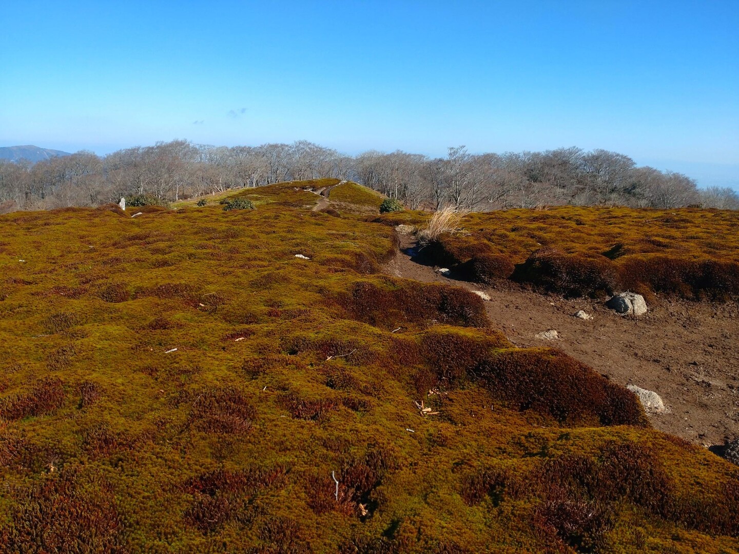 作ノ峰・高岩・クラシ・高昌山 / sigeoyajiさんの釈迦ヶ岳の活動データ | YAMAP / ヤマップ