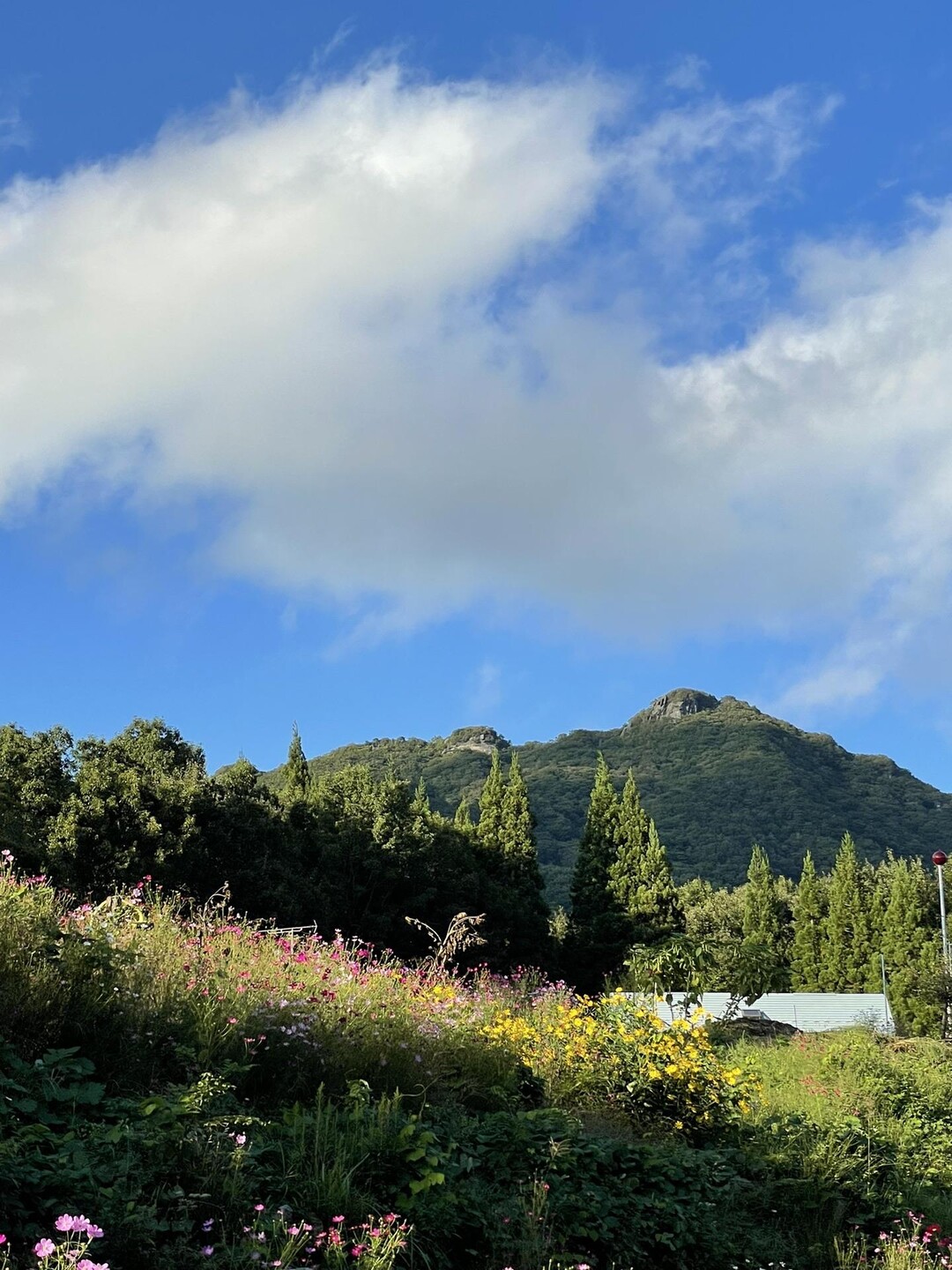 今年二回目の鎌倉岳 / sammyくんさんの鎌倉岳の活動データ | YAMAP / ヤマップ