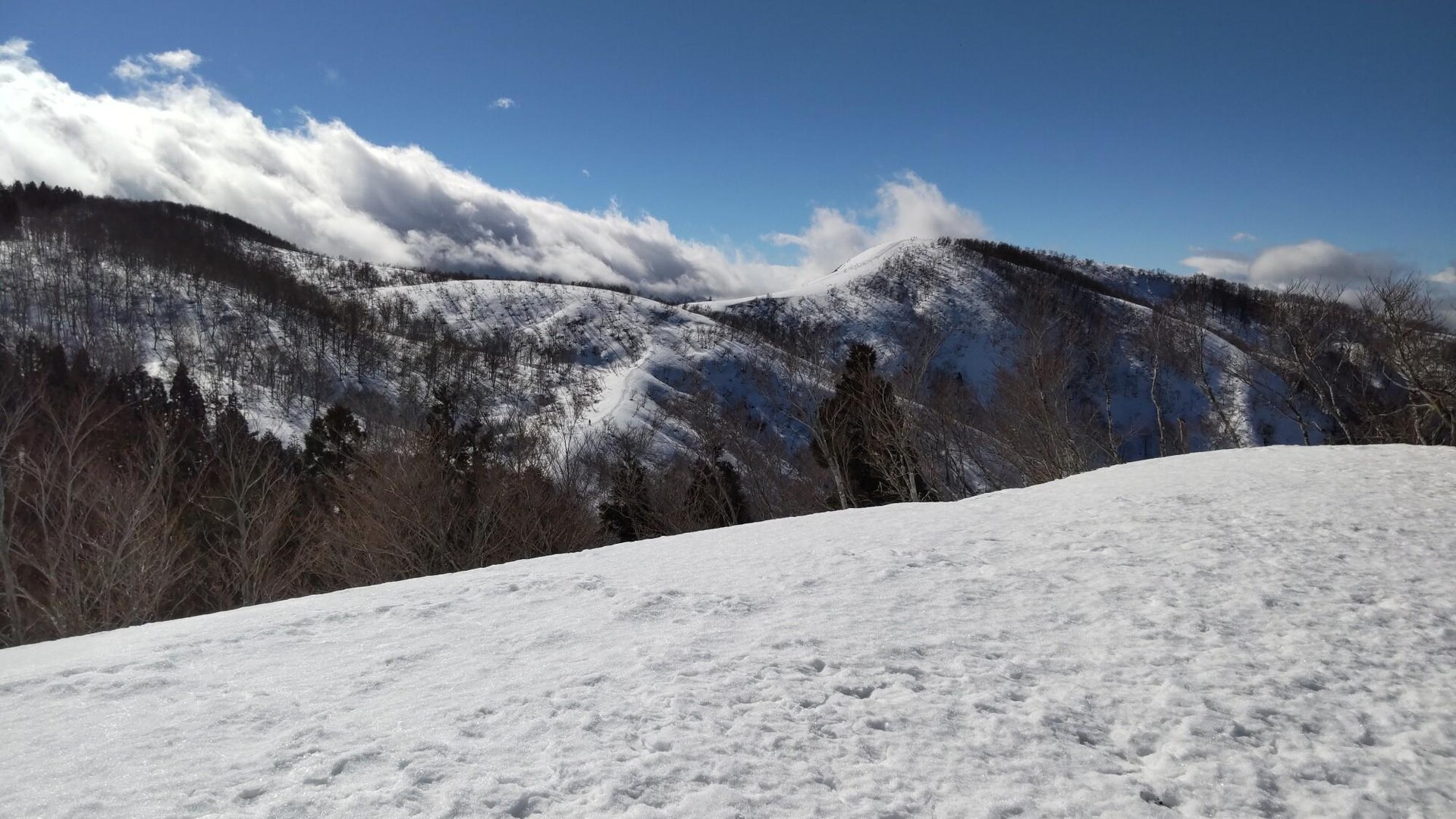 取立山・こつぶり山 / モンチGf🙊さんの取立山の活動データ | YAMAP / ヤマップ