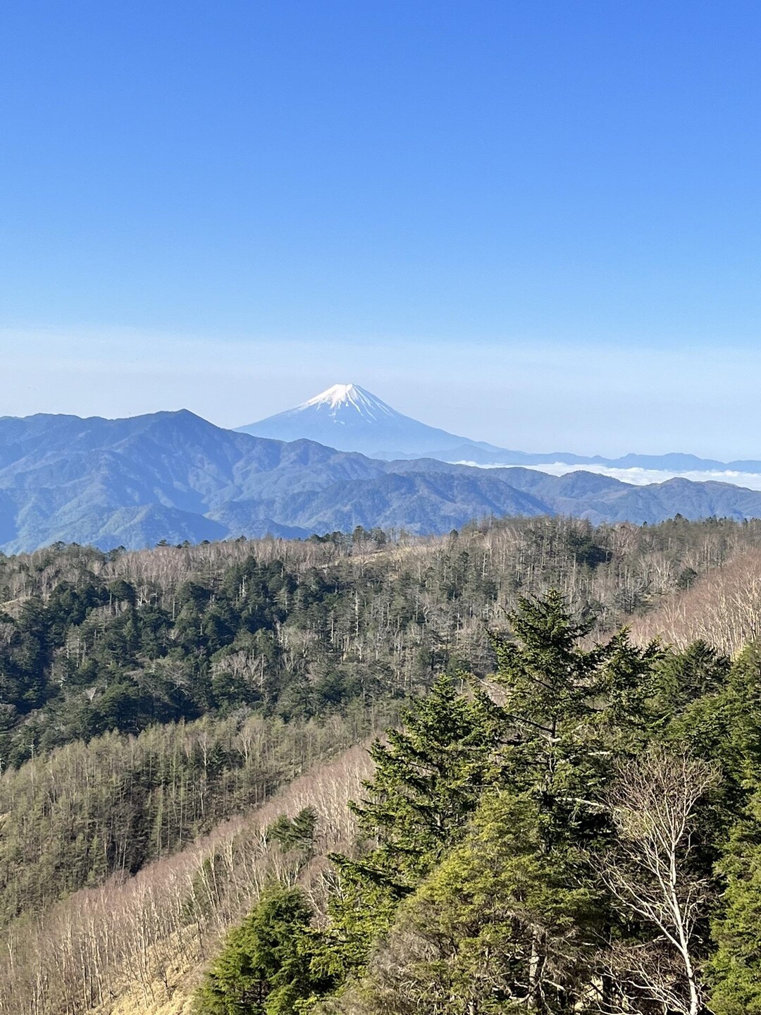 丹波-飛龍山-和名倉山-秩父湖 / zAkさんの和名倉山・笠取山・東仙波の活動データ | YAMAP / ヤマップ