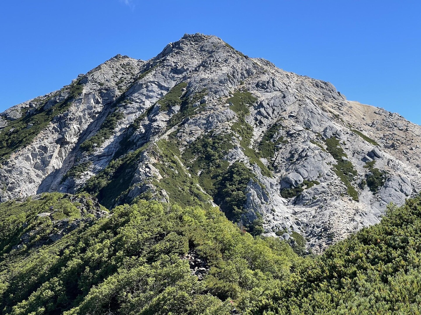 威風堂々！甲斐駒ヶ岳 / natsuさんの仙丈ヶ岳・伊那荒倉岳の活動データ | YAMAP / ヤマップ