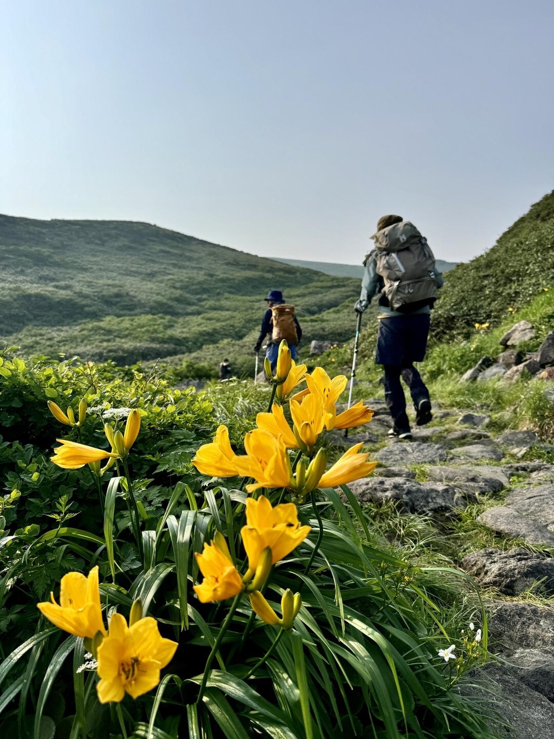 Dreams come true Mt.CHOKAI / ハチローさんの鳥海山・七高山・笙ヶ岳の活動データ | YAMAP / ヤマップ