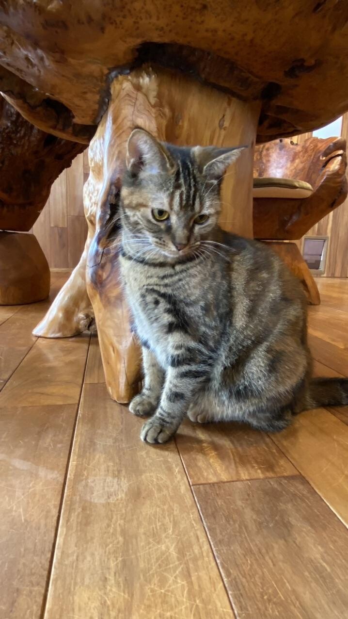 Kazuhiroのページ | YAMAP / ヤマップ