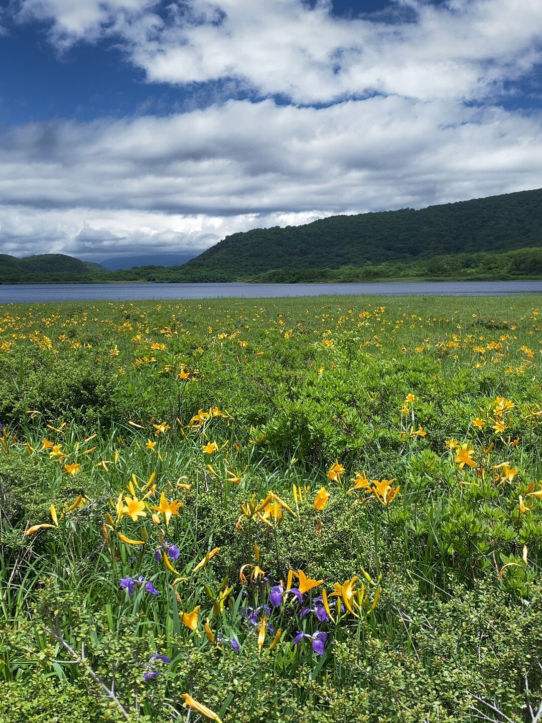 猫魔ヶ岳 / ryo-yanさんの磐梯山・雄国山・赤埴山の活動データ | YAMAP / ヤマップ