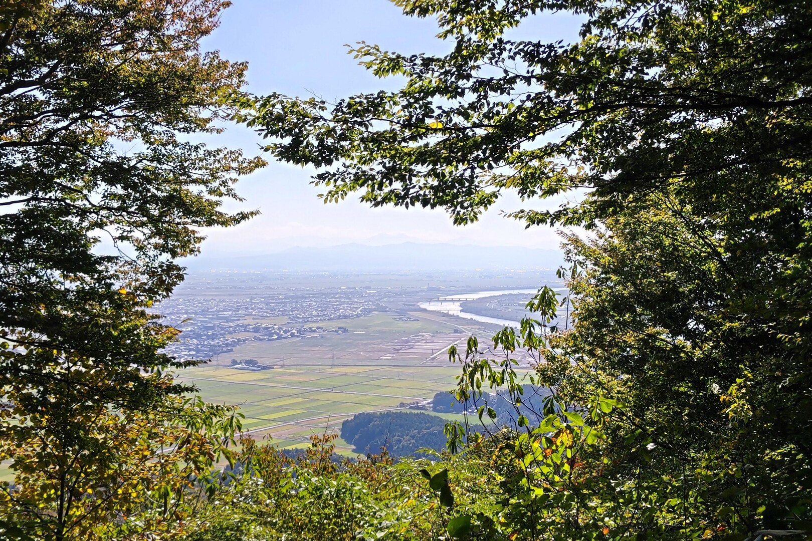 国上山 / ikkoさんの弥彦山・多宝山・雨乞山の活動データ | YAMAP / ヤマップ