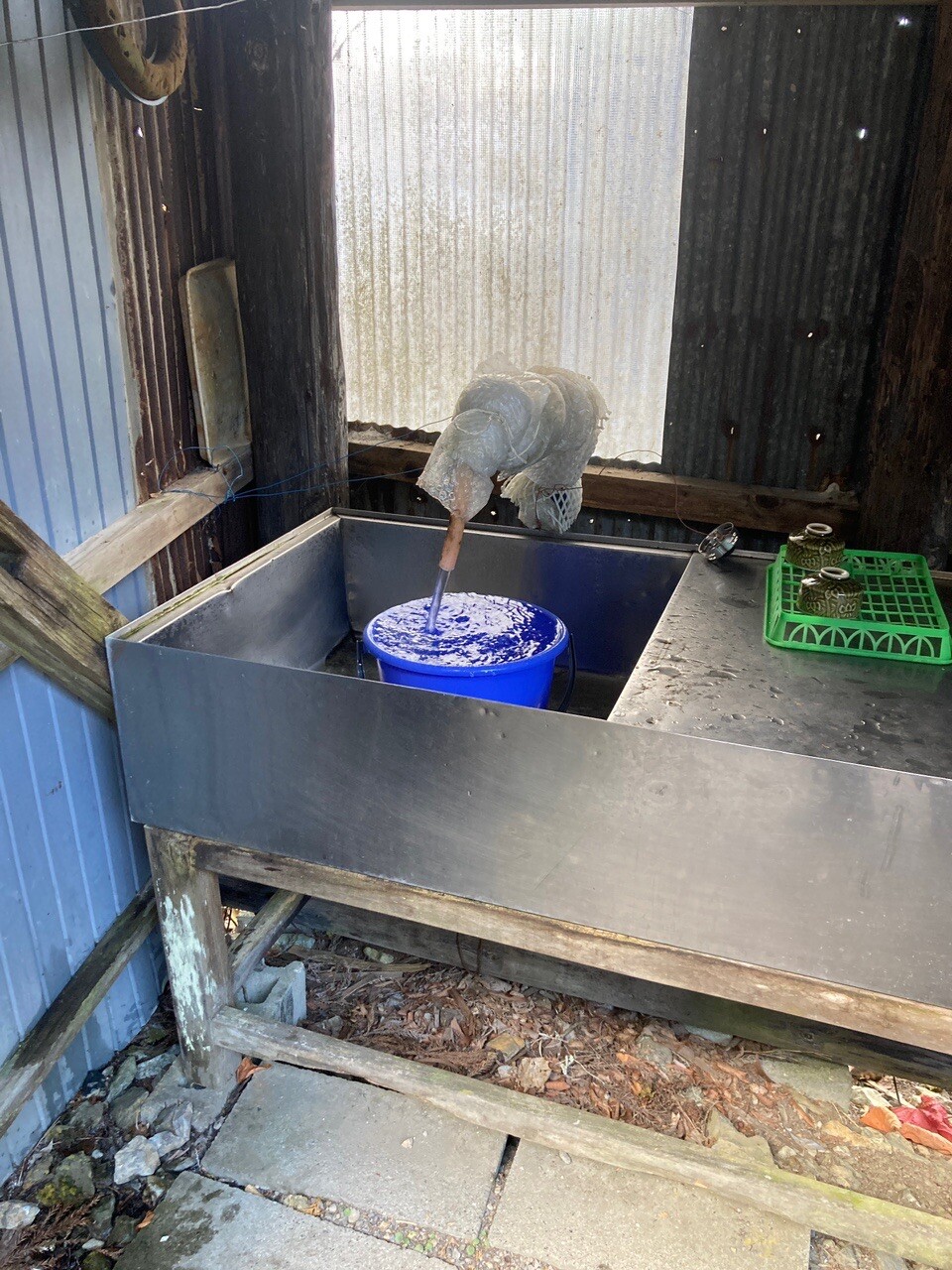 subrosaさんの投稿したフィールドメモ | YAMAP / ヤマップ