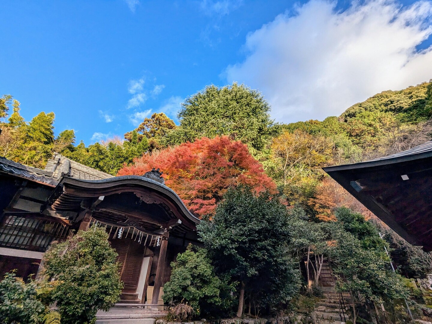 ⛩️京都の山🌝椿ヶ峰 / "satoh"さんの大文字山・如意ヶ嶽・稲荷山の活動データ | YAMAP / ヤマップ