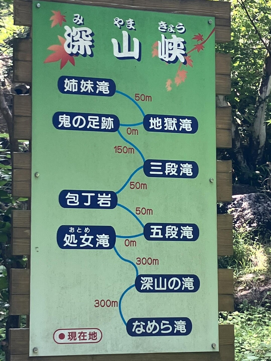 五輪山のおかわりに。 地味に70m登って... / totoさんのモーメント | YAMAP / ヤマップ