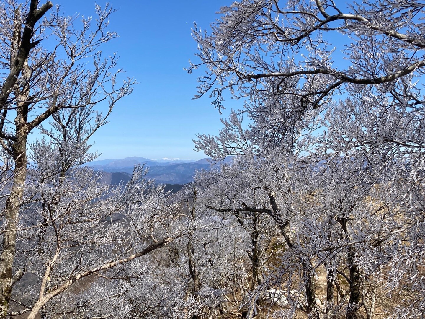 綿向山 / milkさんの綿向山の活動データ | YAMAP / ヤマップ