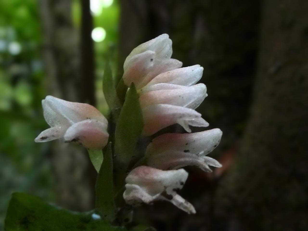 岩魚先生と7名で高尾山。 今日は薬王院の... / skipさんのモーメント | YAMAP / ヤマップ