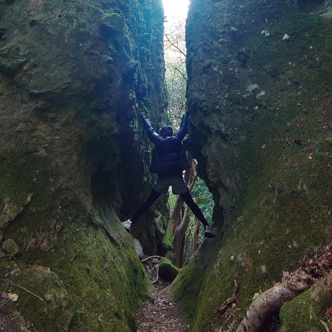 両子寺〜🍁 / akkiさんの六郷満山（国東半島）の活動データ | YAMAP / ヤマップ