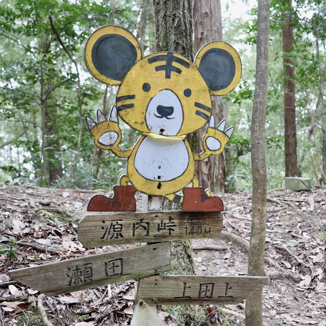 源内峠を目指してウォーキング🚶‍♀️🍀 / ひーちゃんさんの湖南アルプス（太神山・堂山）の活動データ | YAMAP / ヤマップ