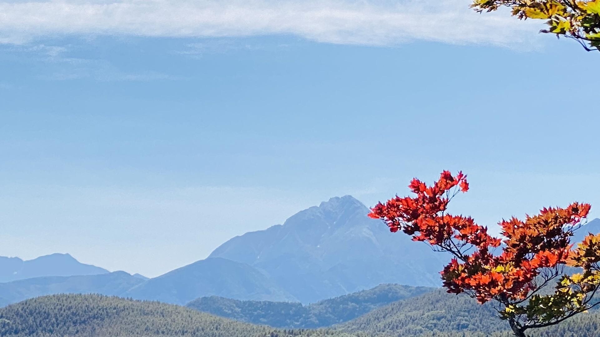 小さい秋♬🍂🤗…入笠山♪ / Ki zさんの入笠山の活動データ | YAMAP / ヤマップ