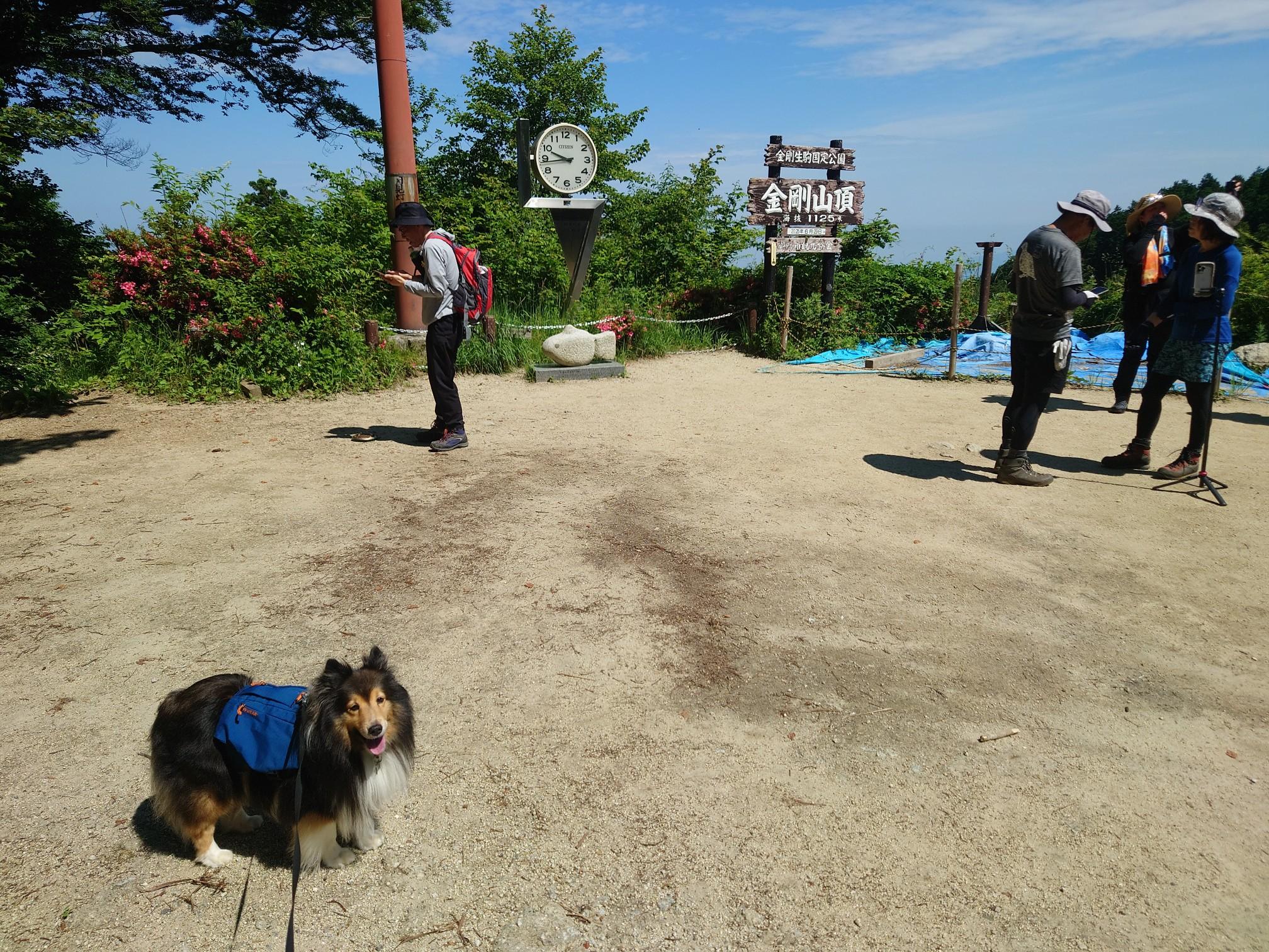 金剛山頂クッキー「安心と安全」信頼の運び... / Teddyさんのモーメント | YAMAP / ヤマップ