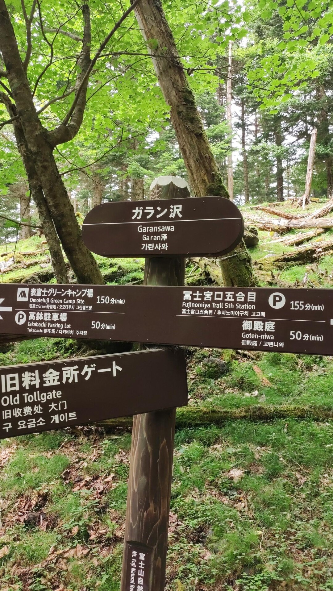 いざゼロ富士！ルート3776！ / 富士山登山ルート3776 1日目コースの写真35枚目 / ガラン沢。由来はなんでしょう？ | YAMAP / ヤマップ