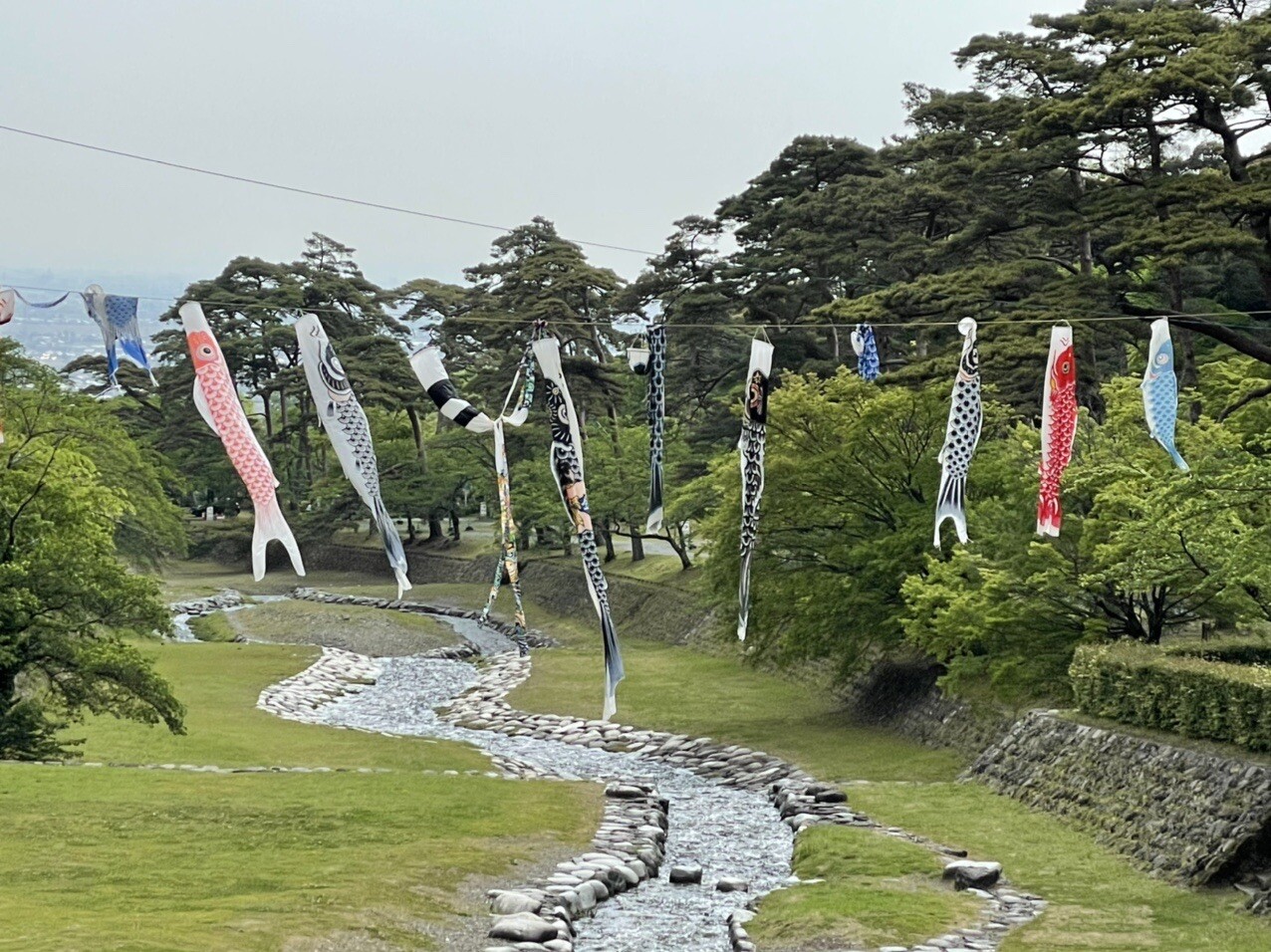 三方山・小倉山・北尾根P826峰 / ふうさんの養老山・笙ヶ岳・三方山の活動データ | YAMAP / ヤマップ