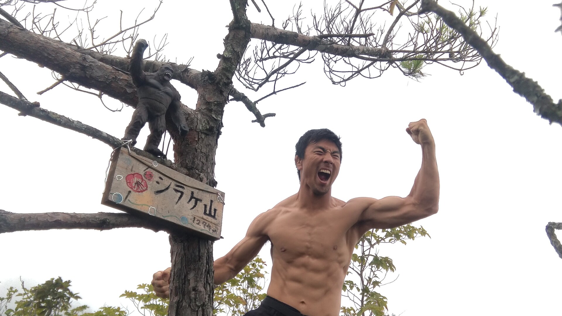 2022/8/6 烏帽子岳・シラケ山・天狗岩 / 上州マタギレスラーFUMAさんの三ツ岩岳・烏帽子岳の活動データ | YAMAP / ヤマップ