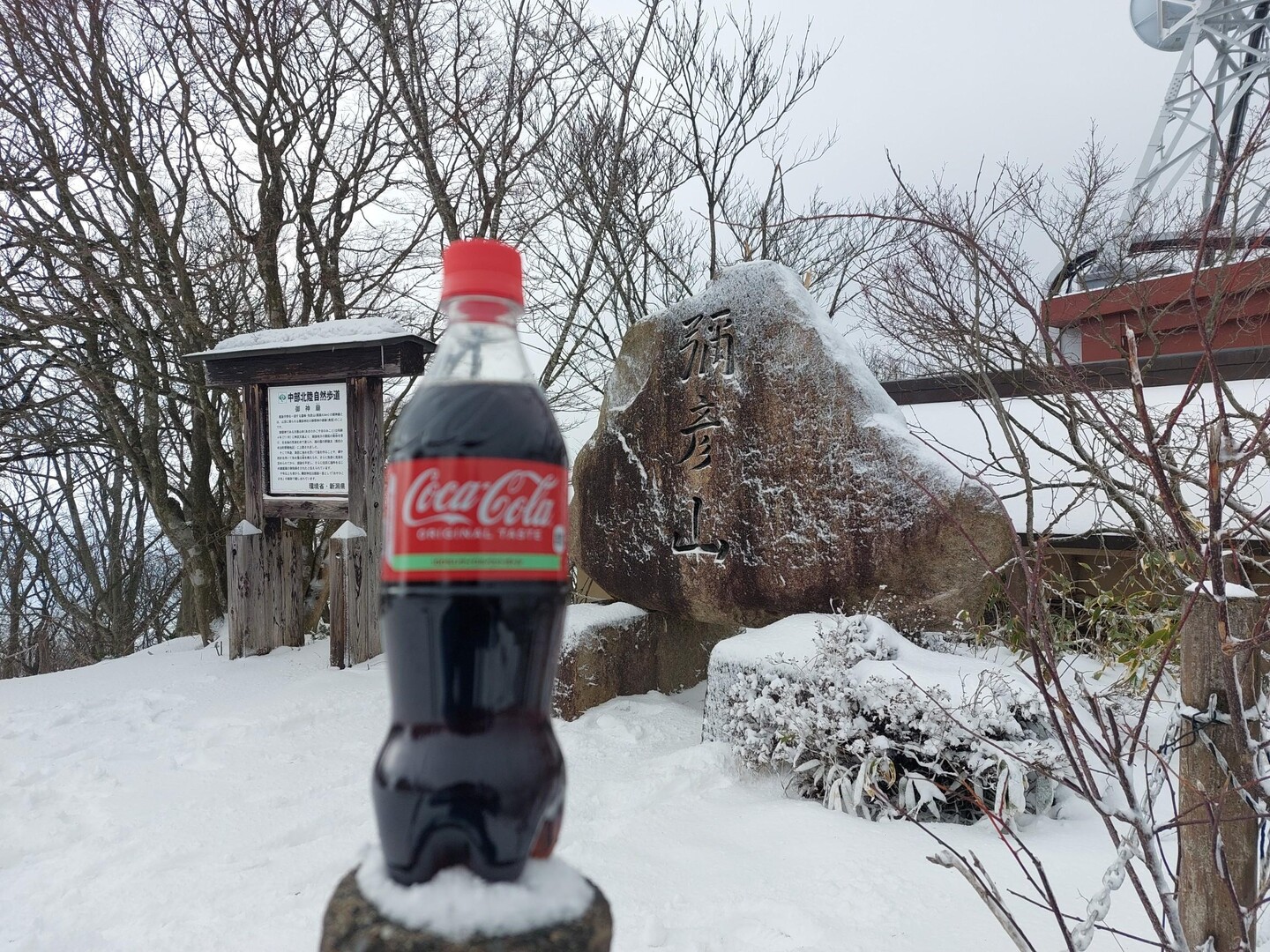 強風弥彦山 / takeさんの弥彦山・多宝山・雨乞山の活動日記 | YAMAP / ヤマップ