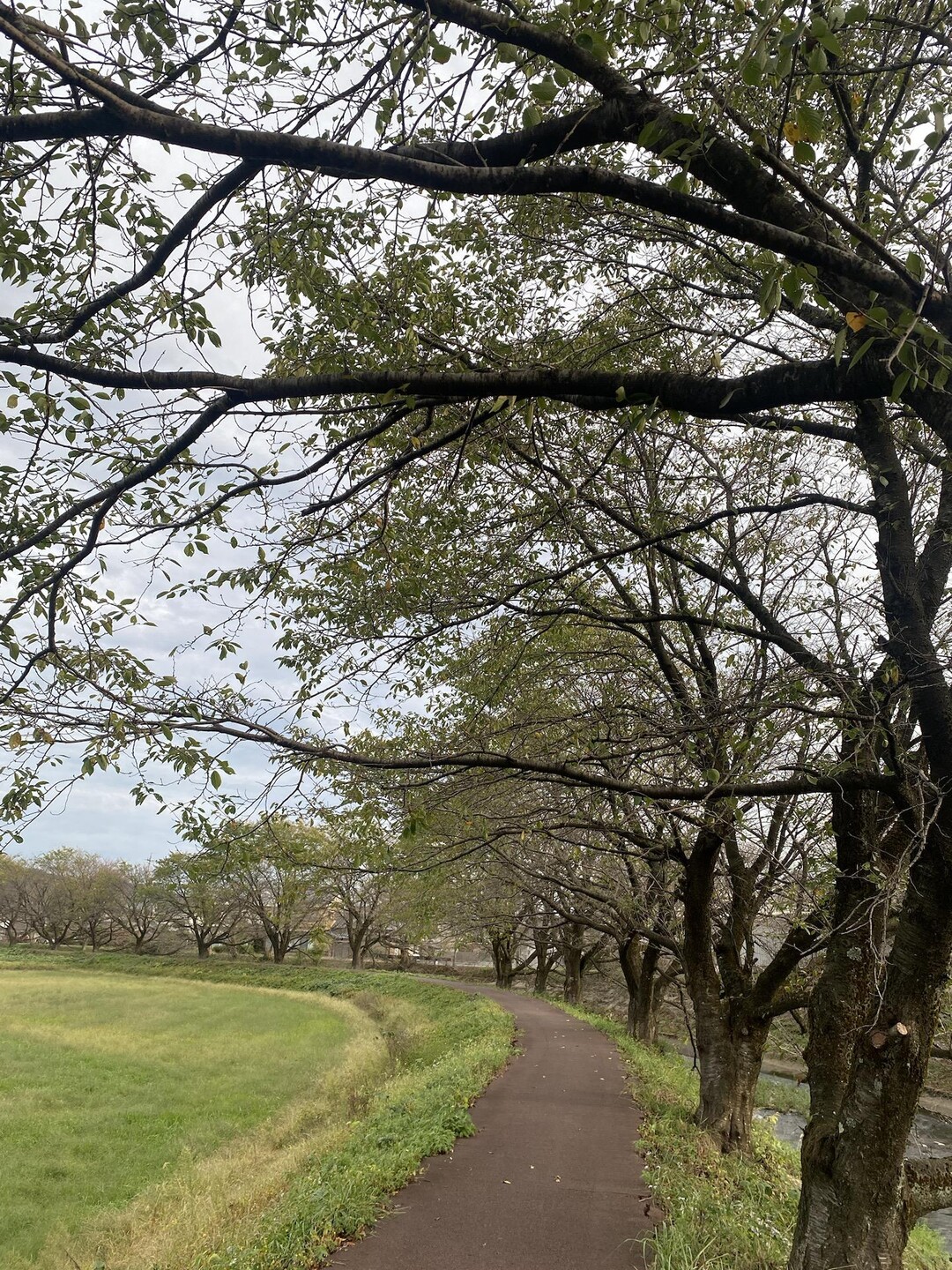 霜降 ️ 10月23日は、二十四... / meshiさんのモーメント | YAMAP / ヤマップ