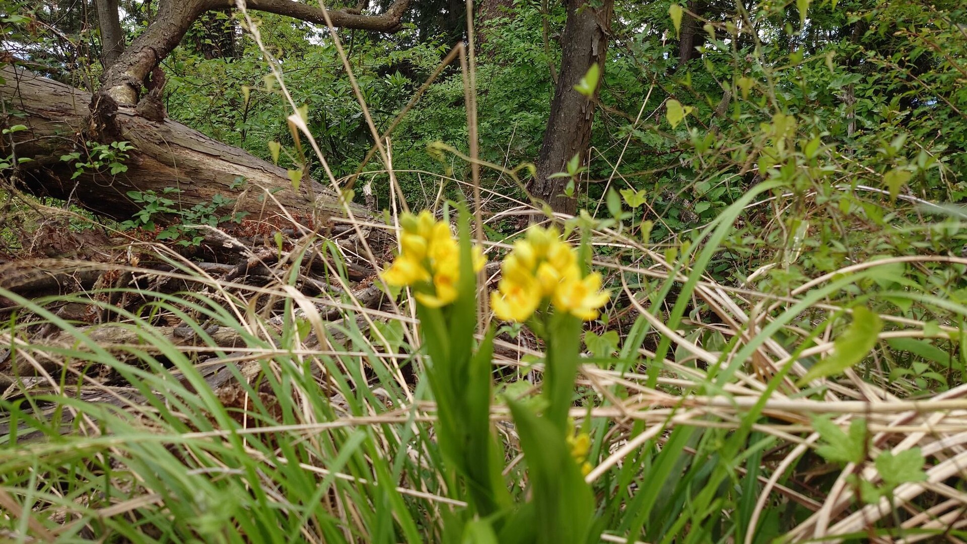 高尾稲荷山コース下見 / keepさんの高尾山・陣馬山・景信山の活動データ | YAMAP / ヤマップ