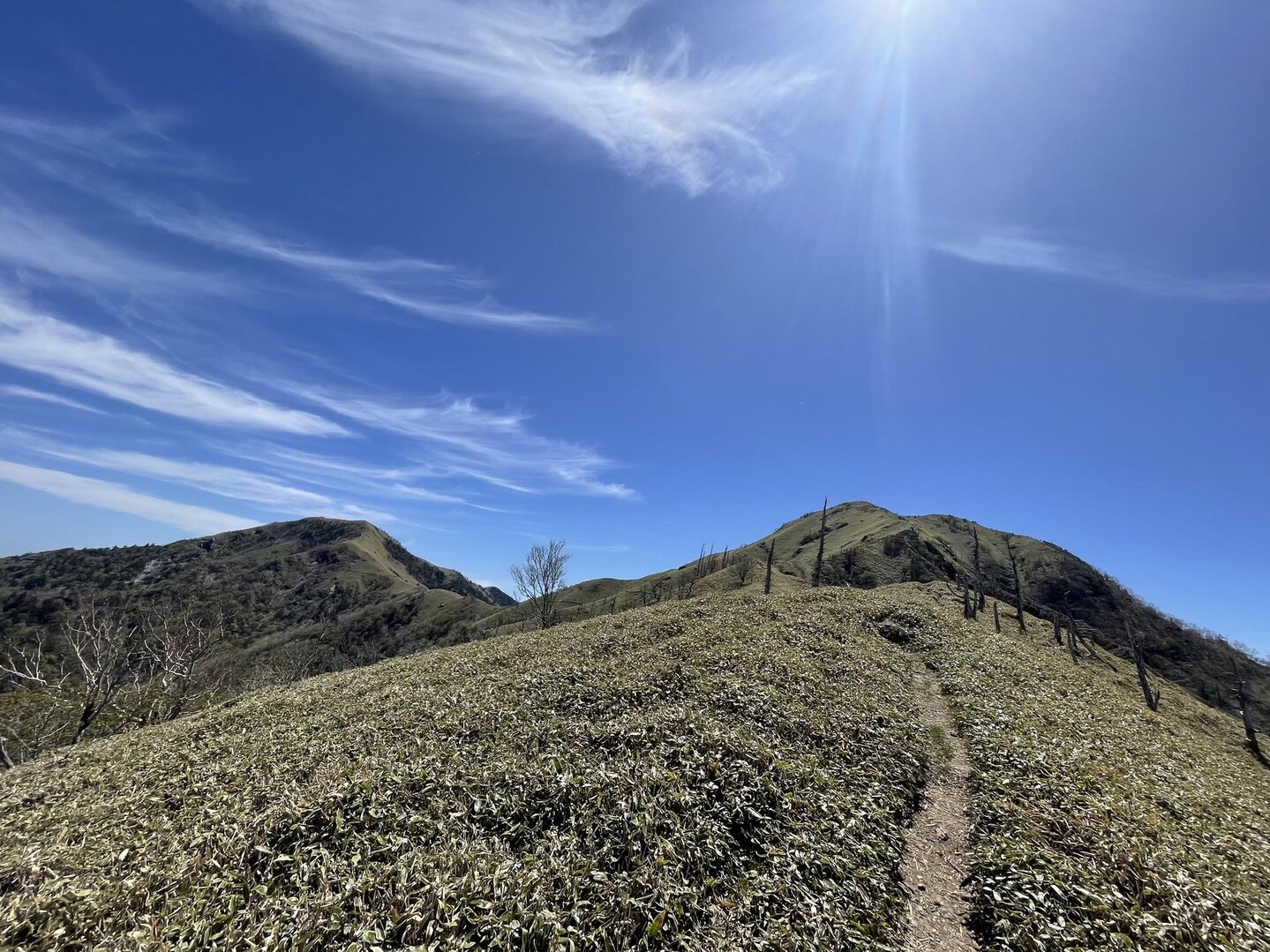 また、歩きに来たよ♪ 剣山〜次郎笈〜三嶺 / mojaさんの三嶺・天狗塚・石立山の活動データ | YAMAP / ヤマップ