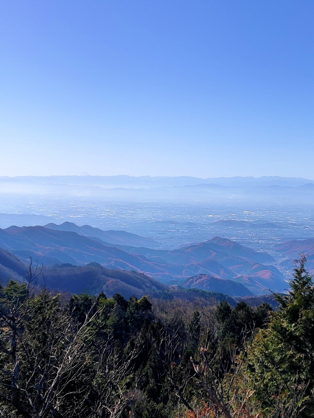 鳴神山（桐生岳）おさんぽ / o-----jiさんの鳴神山・吾妻山の活動データ | YAMAP / ヤマップ