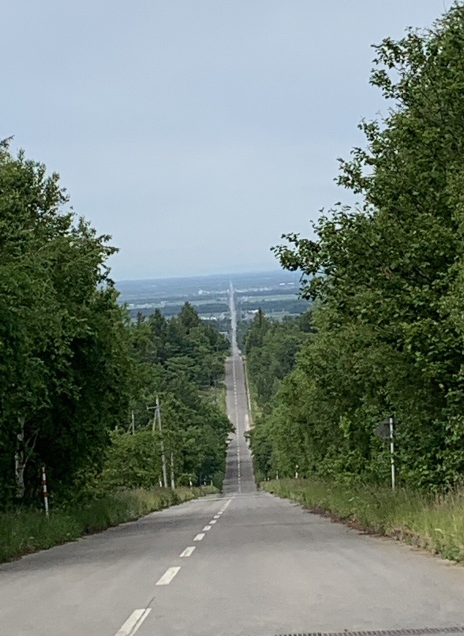 2021-06-24知床散歩 / sugoiyoさんのウォーキングの活動データ | YAMAP / ヤマップ