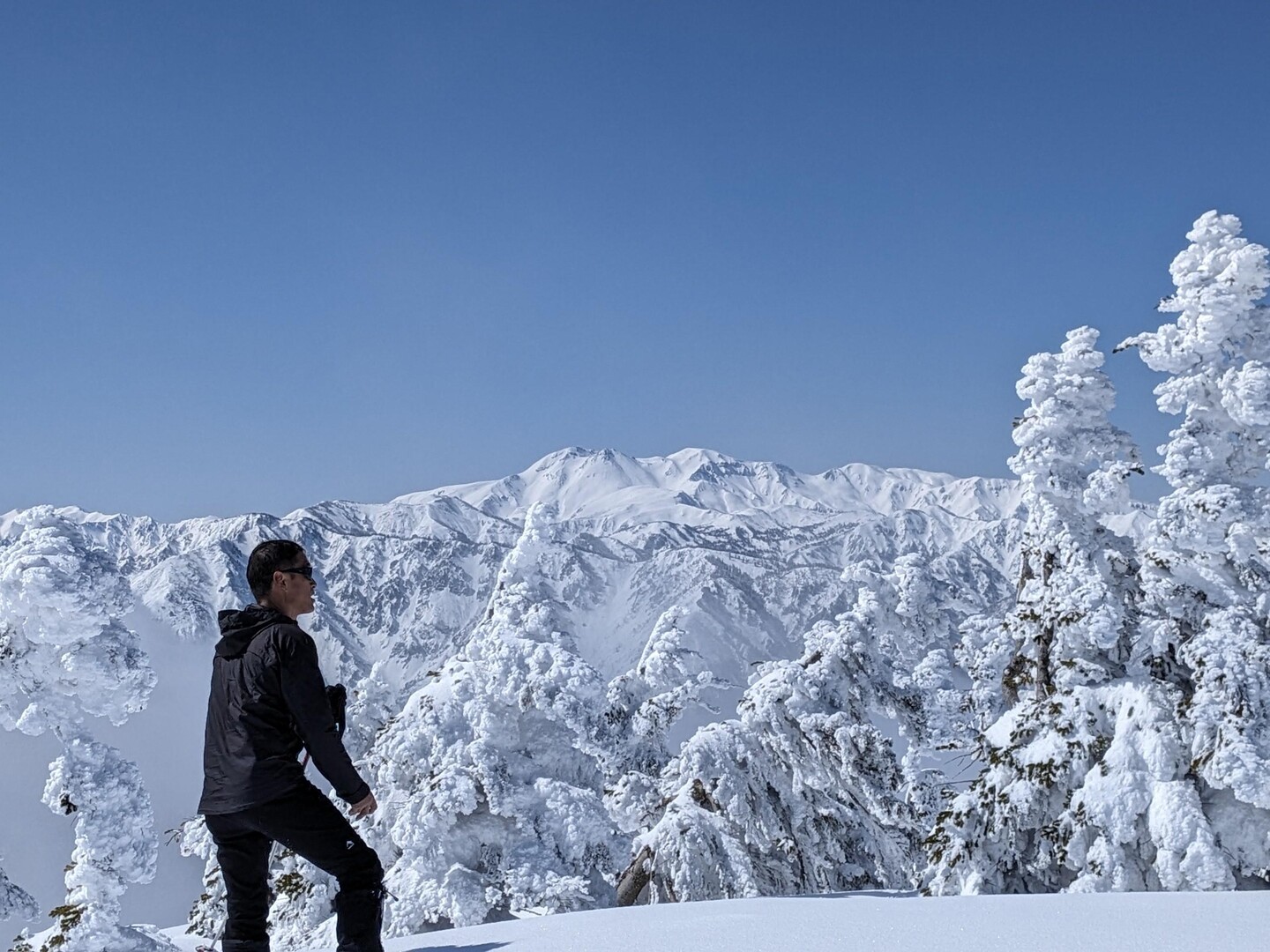猿ヶ馬場山 / gifu.redさんの登山の活動日記 | YAMAP / ヤマップ