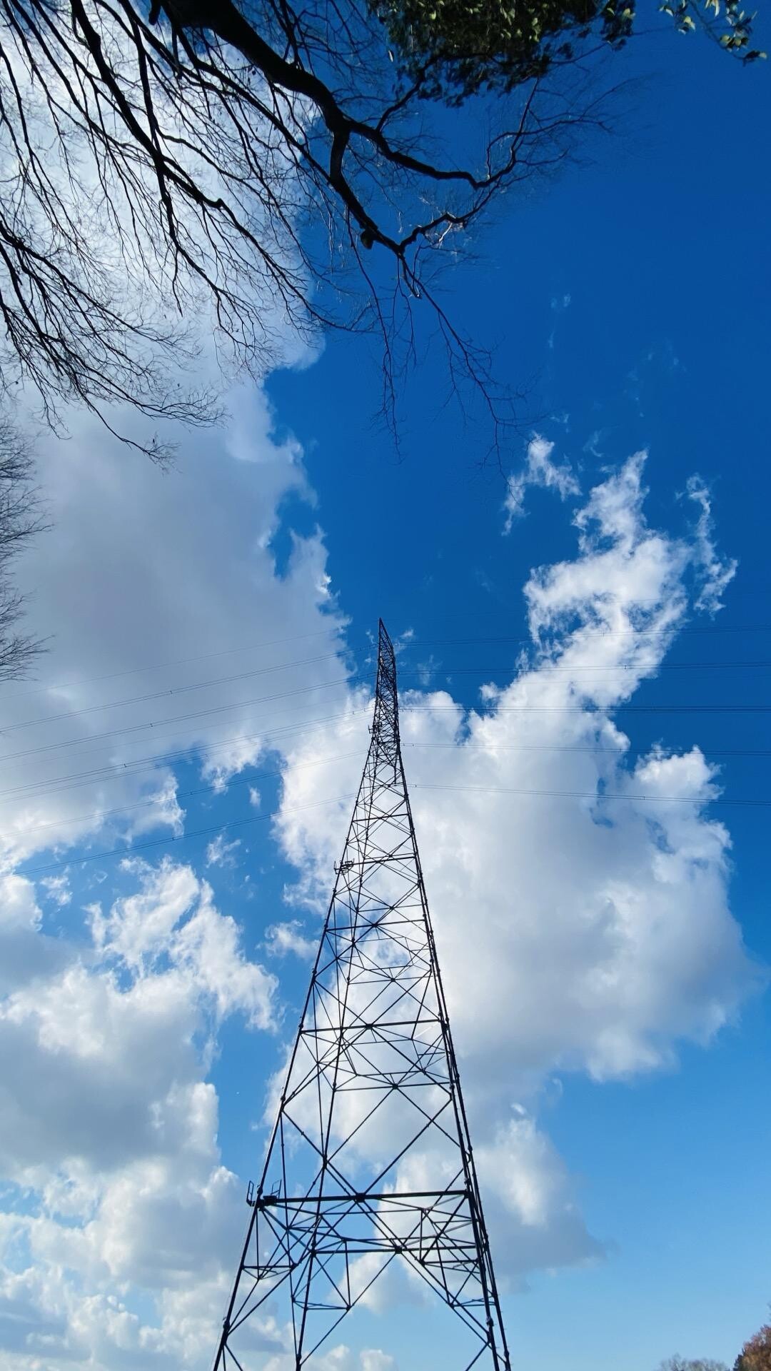 二上山（雌岳）・銀峰・二上山（雄岳） / hello worldさんの葛城修験エリアマップ（二上山周辺）の活動データ | YAMAP / ヤマップ