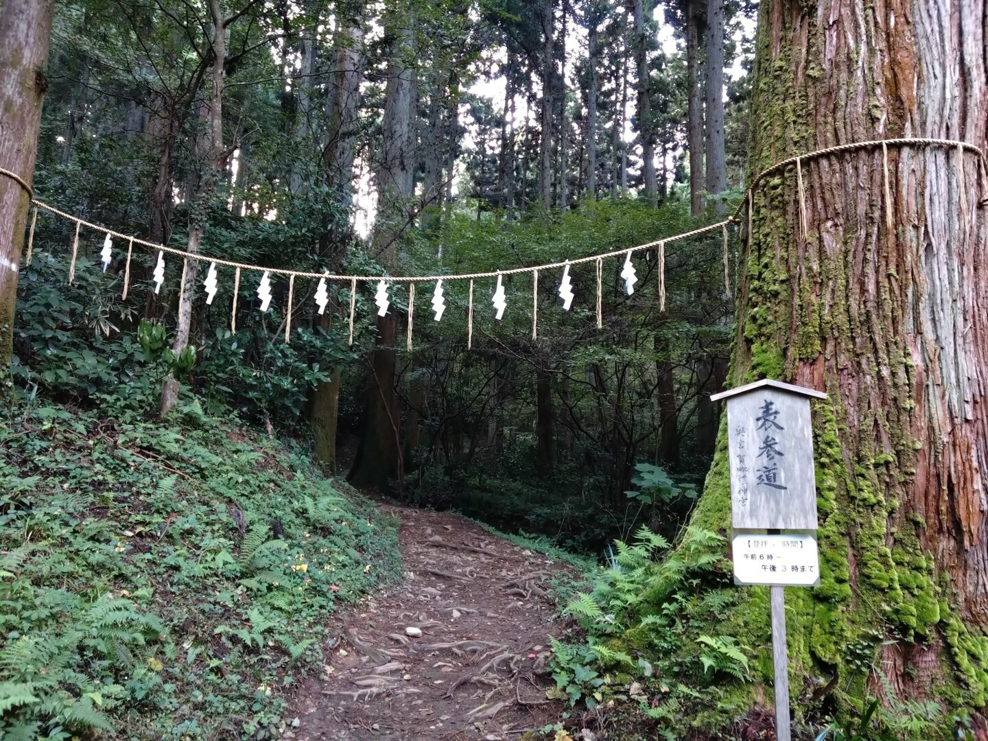 常陸国ロングトレイル2023 Part1 / TWOさんの日立アルプストレイル・神峰山（神峯山）の活動データ | YAMAP / ヤマップ