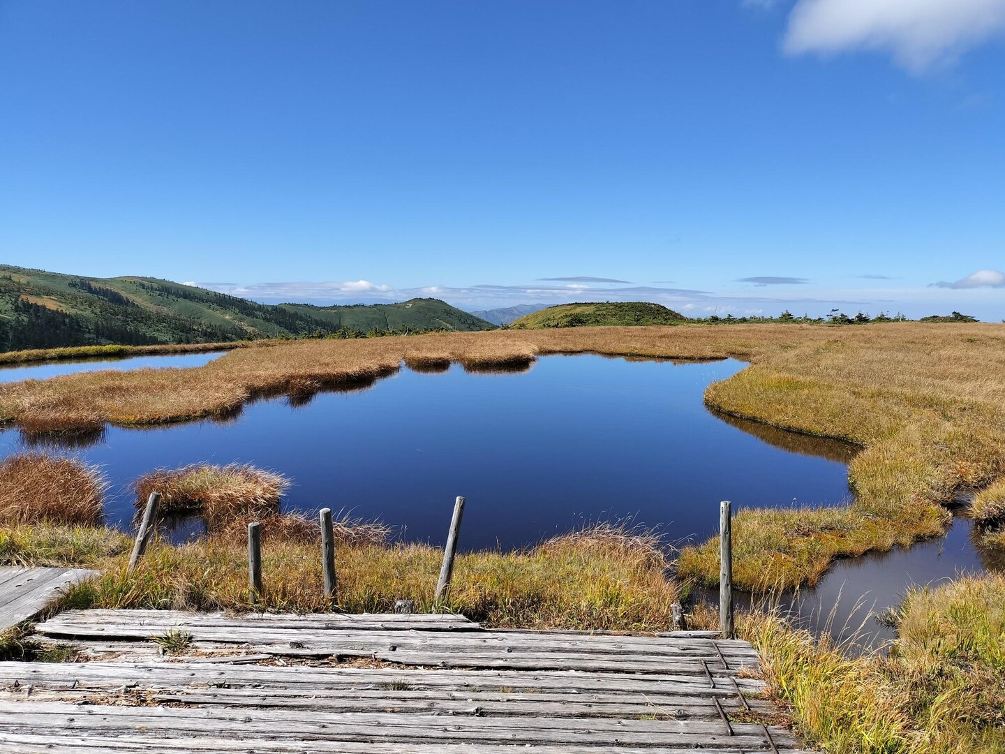 下台倉山・台倉山・池ノ岳・平ヶ岳 / shunさんの平ヶ岳・台倉山・池ノ岳の活動日記 | YAMAP / ヤマップ