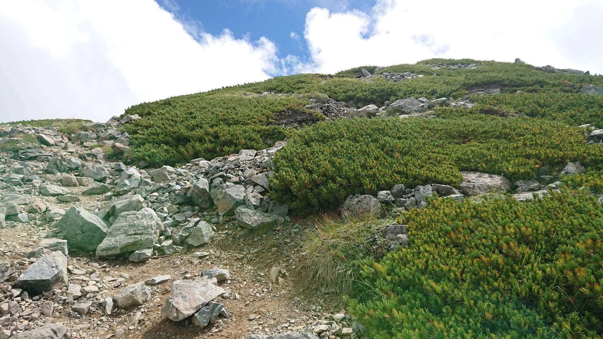 KIさんの投稿したフィールドメモ | YAMAP / ヤマップ