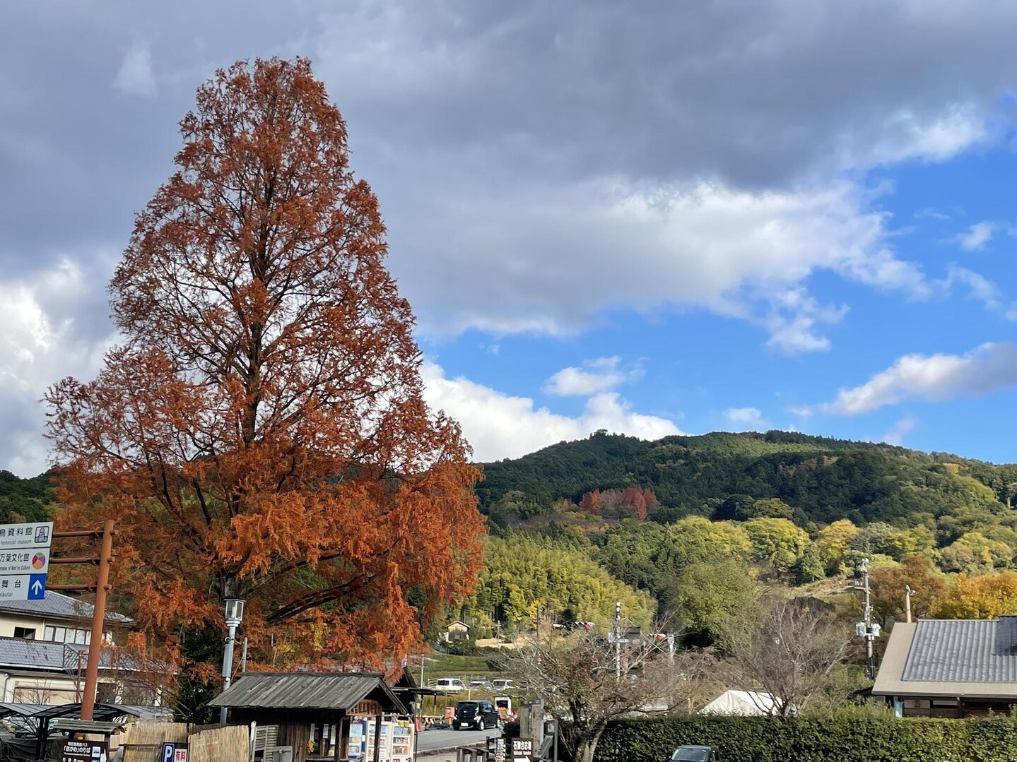 晩秋のお散歩 / いーちゃんさんの大和三山（天香久山・畝傍山・耳成山）の活動データ | YAMAP / ヤマップ
