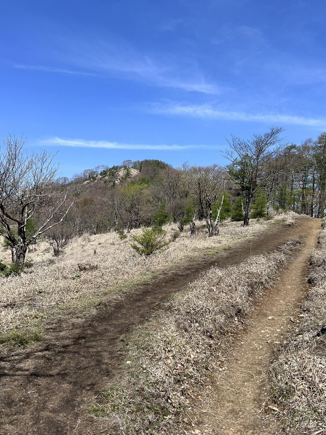 鷹ノ巣山 / MC HIROさんの雲取山・鷹ノ巣山・七ツ石山の活動データ | YAMAP / ヤマップ