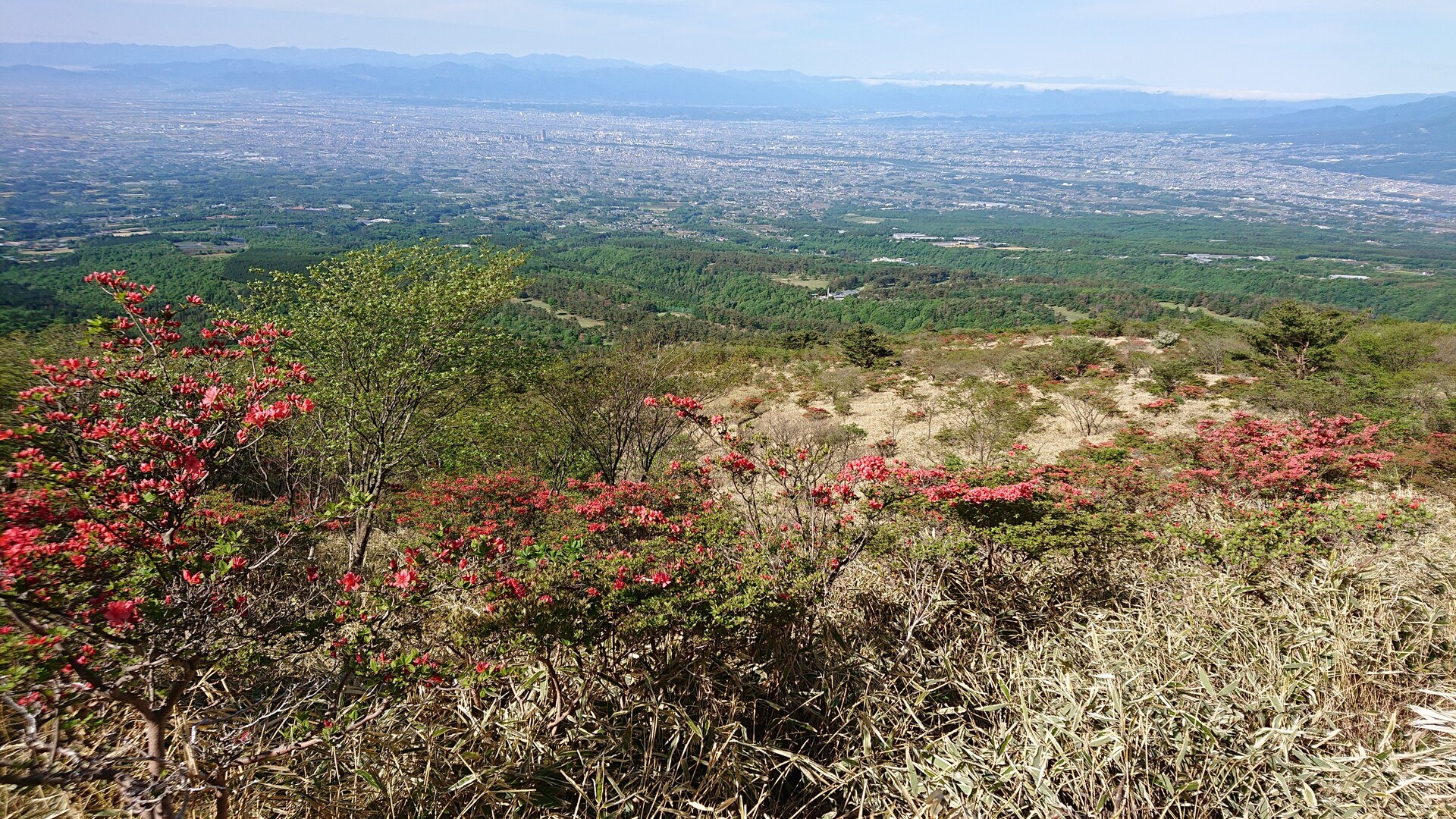 鍋割山(鍋割高原ー荒山高原ー森林公園)-2020-05-17 / tmykさんの赤城山・黒檜山・荒山の活動データ | YAMAP / ヤマップ